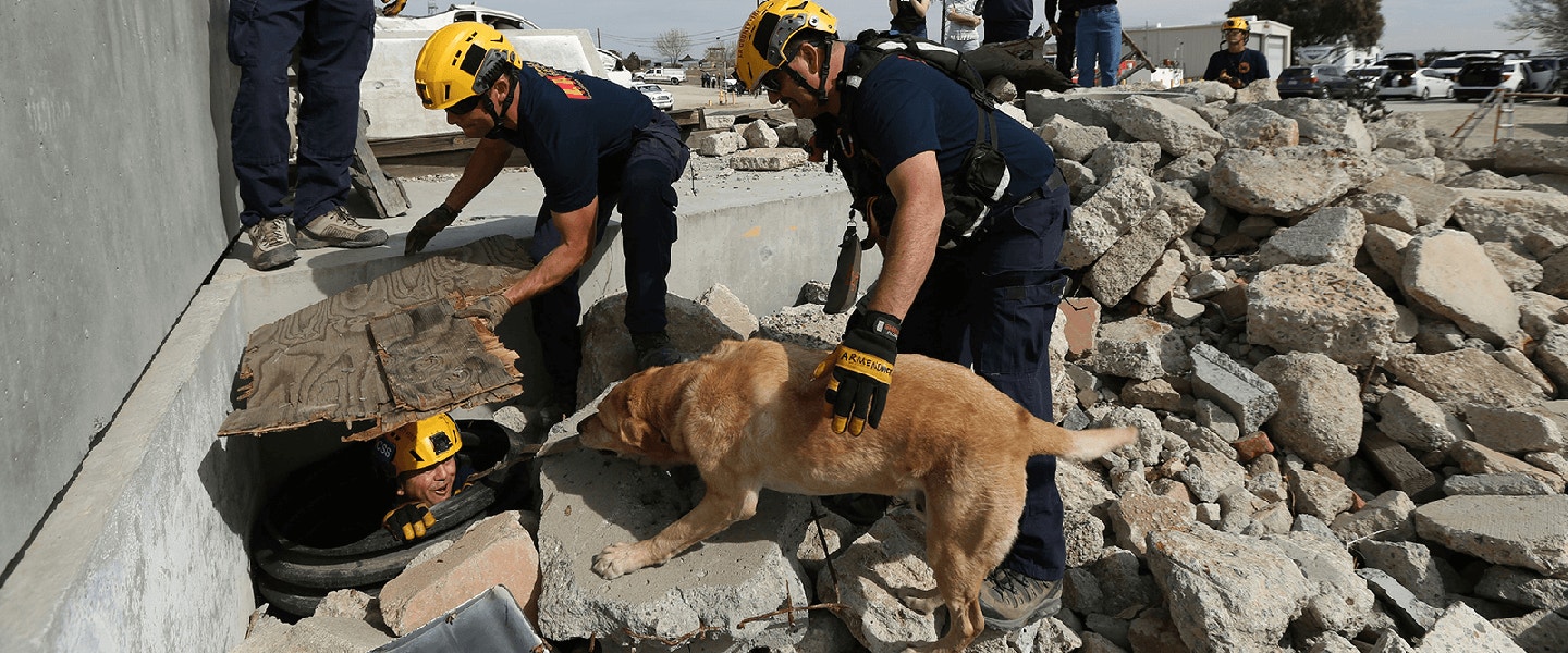 VCA Charities Awards Disaster Relief Grant to the Los Angeles County ...