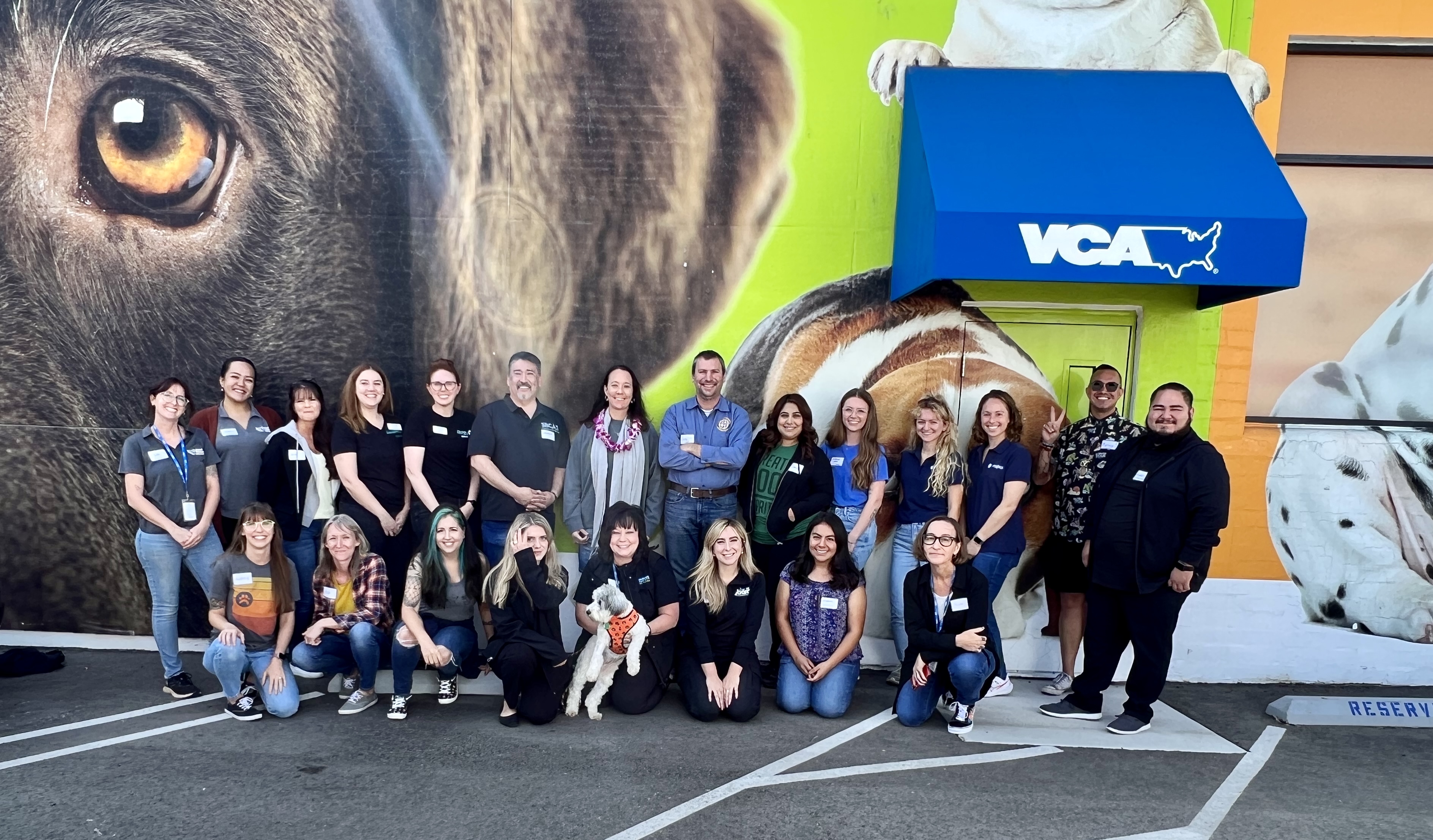 About - VCA Charities